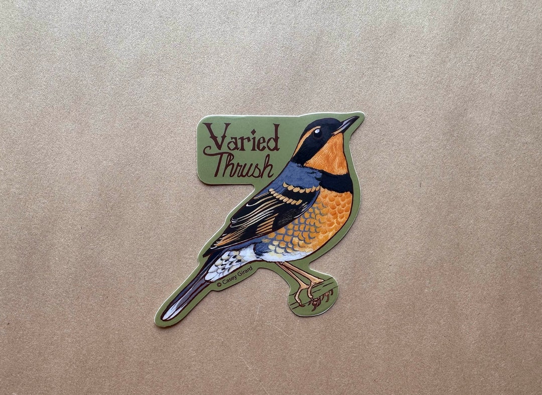 Varied Thrush - Sticker - Etsy