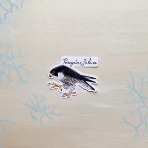 Individual Sticker Falcons - Etsy