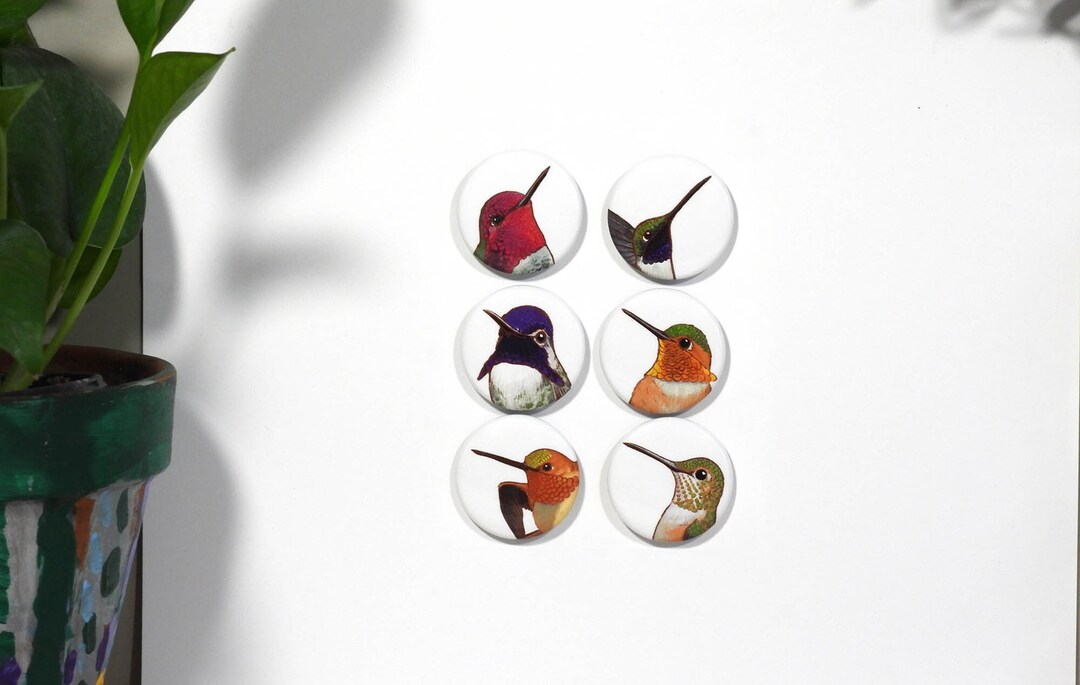 Hummingbirds in Western North America - Magnet Set of 6 - Etsy