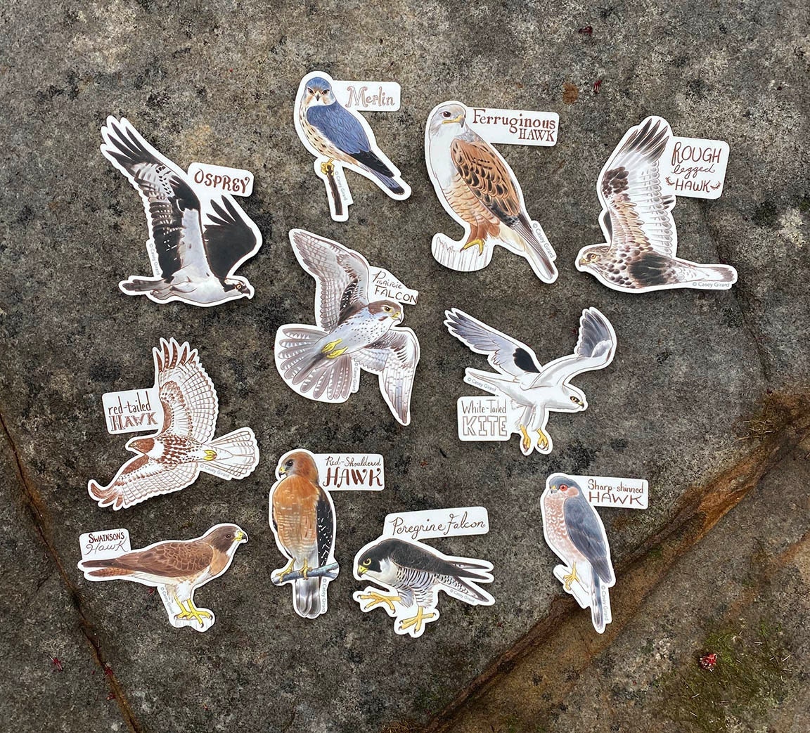 Decals & Skins Electronics & Accessories One Falcon Sticker etna.com.pe