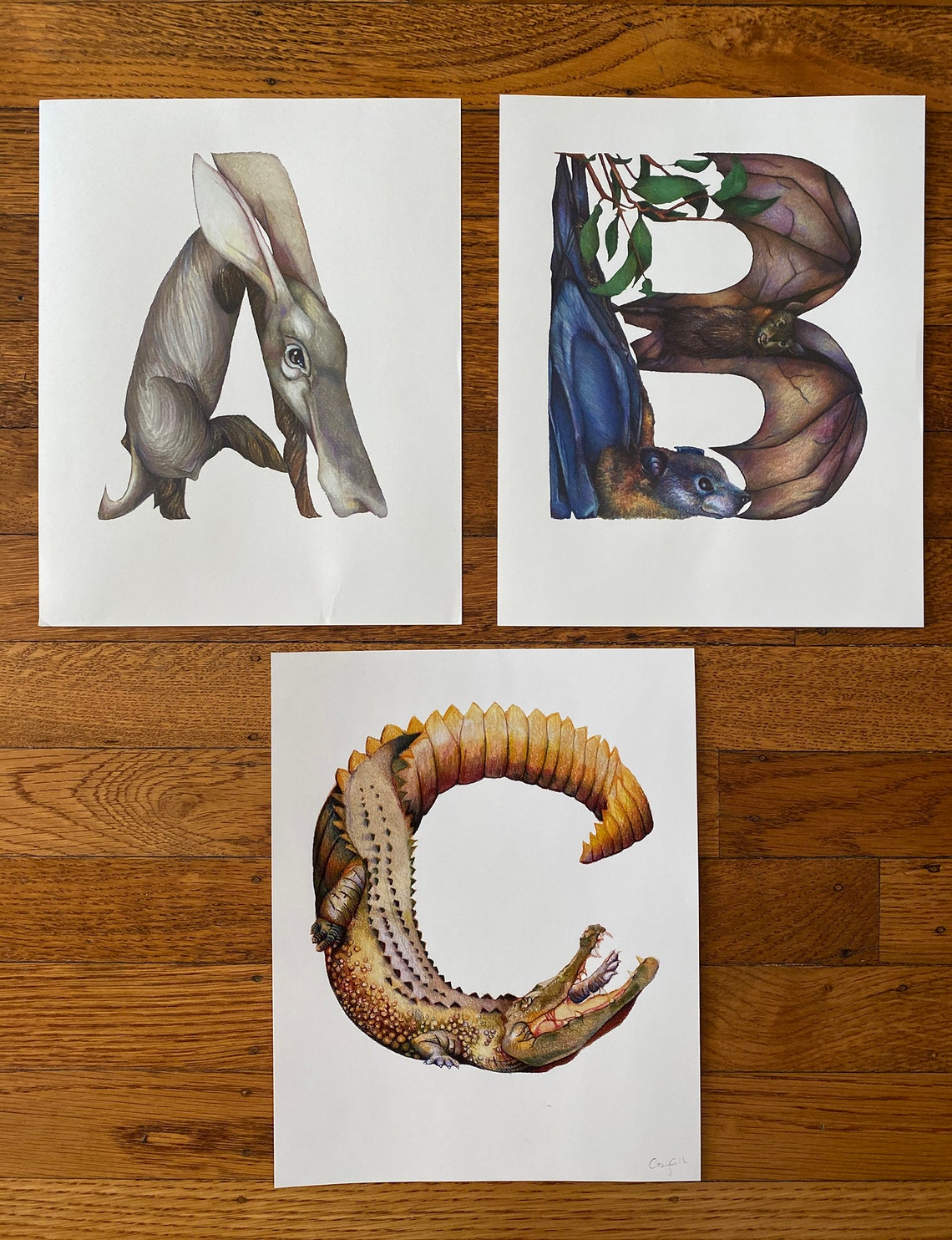 One Letter of Animals in Alphabet | Etsy