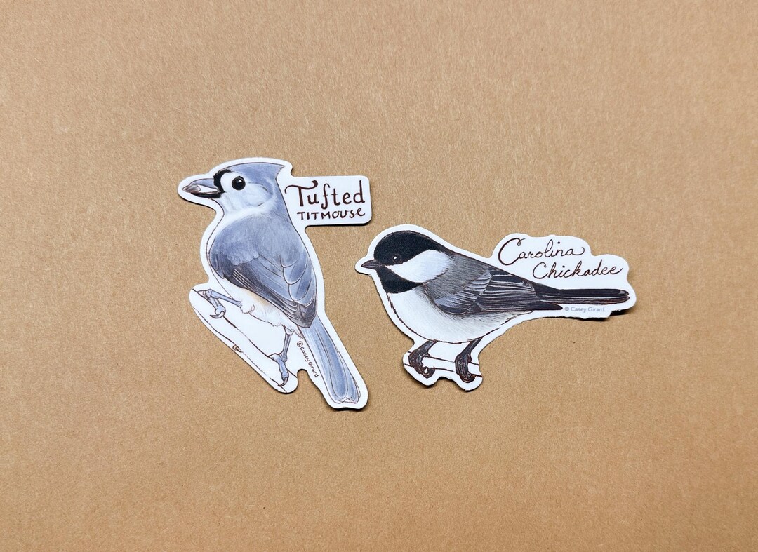 Carolina Chickadee or Tufted Titmouse - Vinyl Sticker - Etsy