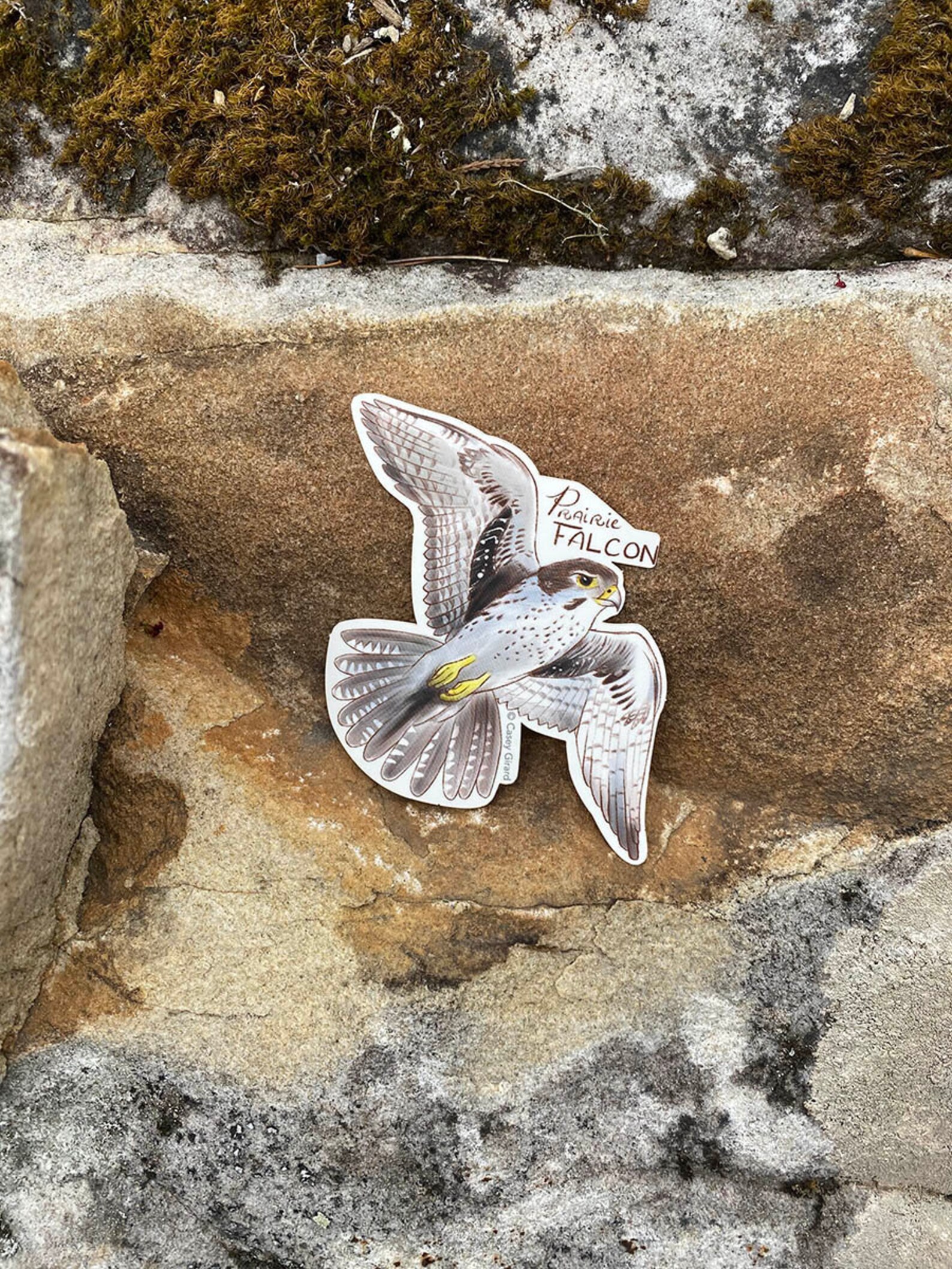 Individual Sticker Falcons - Etsy