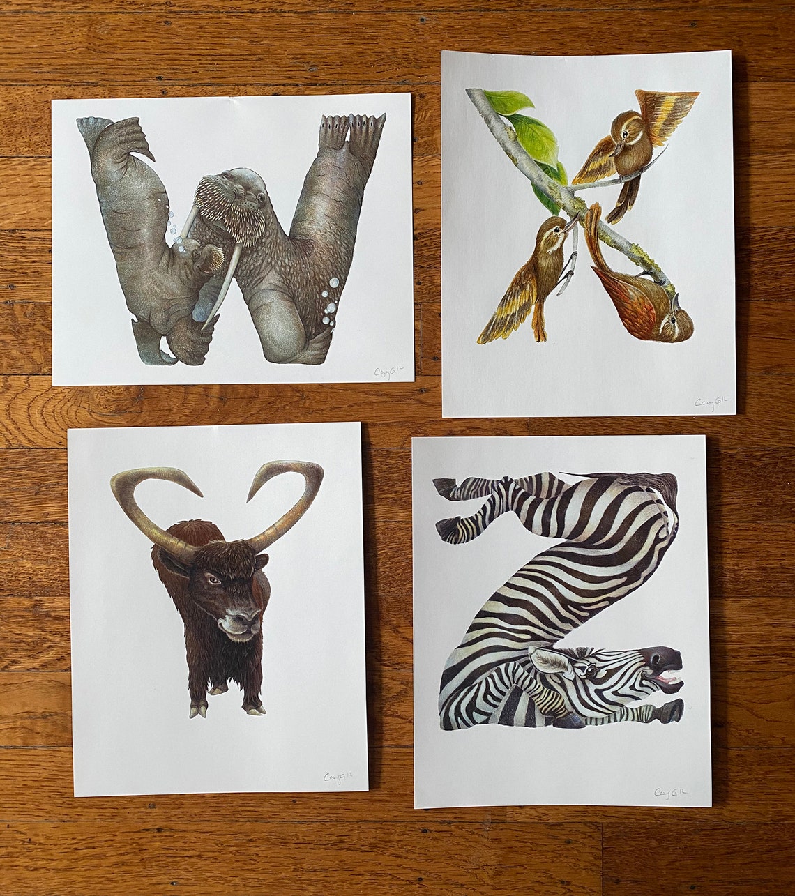 One Letter of Animals in Alphabet - Etsy