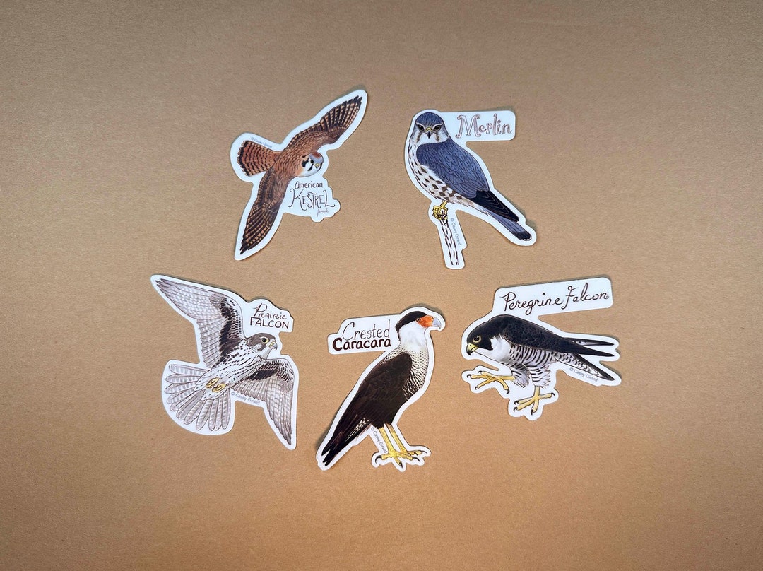 Individual Sticker - Falcons - Etsy