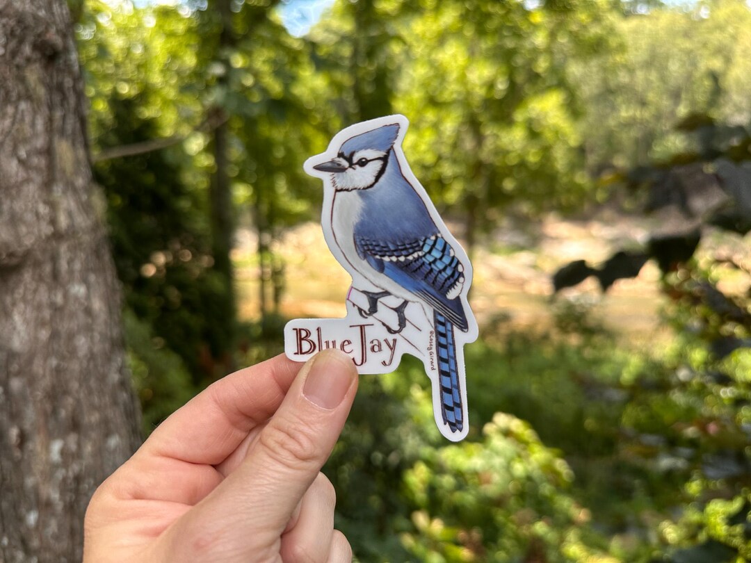 Blue Jay - Vinyl Sticker - Etsy