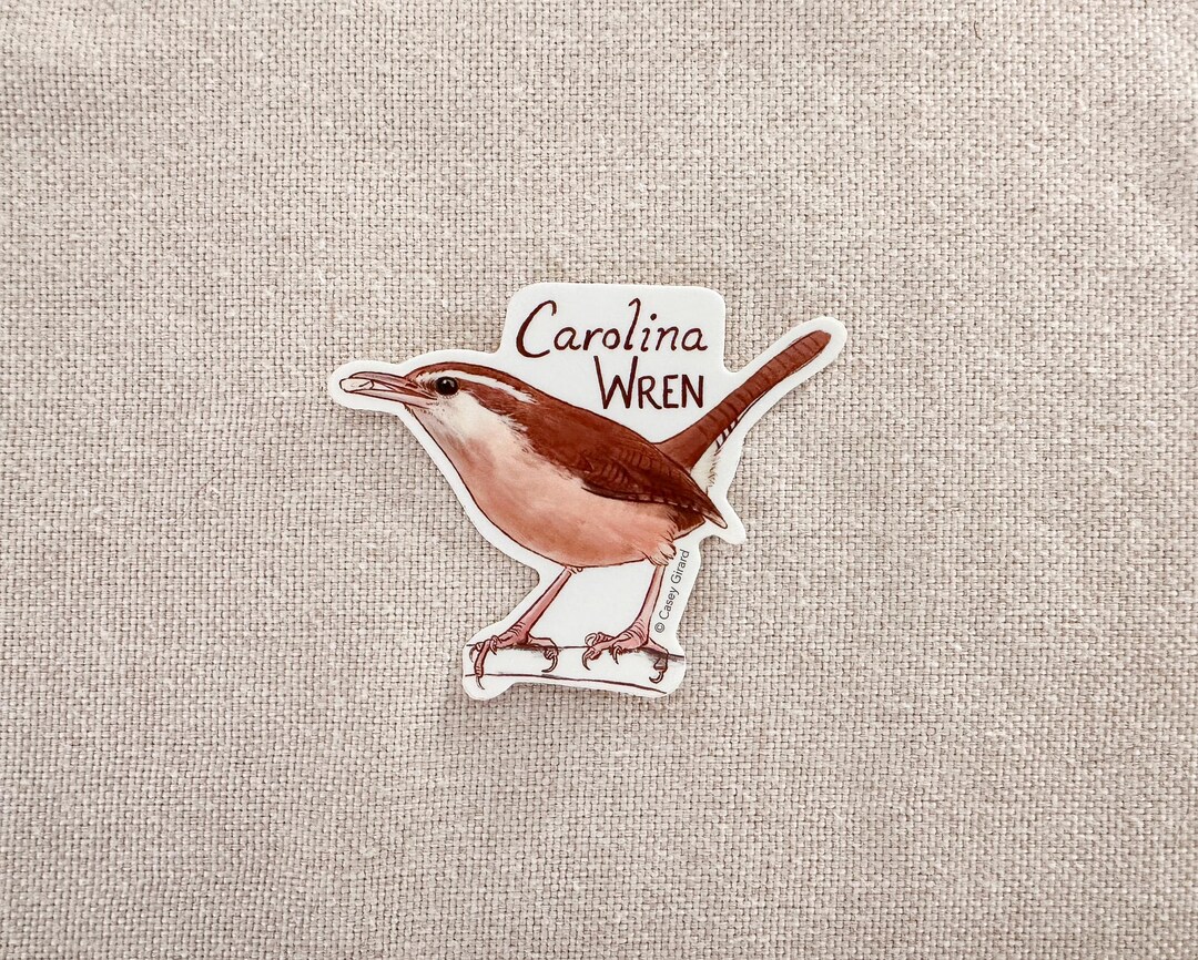 Carolina Wren - Sticker - Etsy