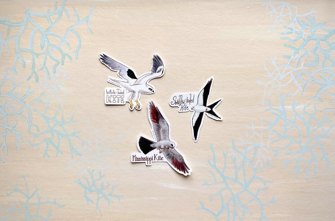 Individual Bird of Prey Sticker - Kites - Etsy