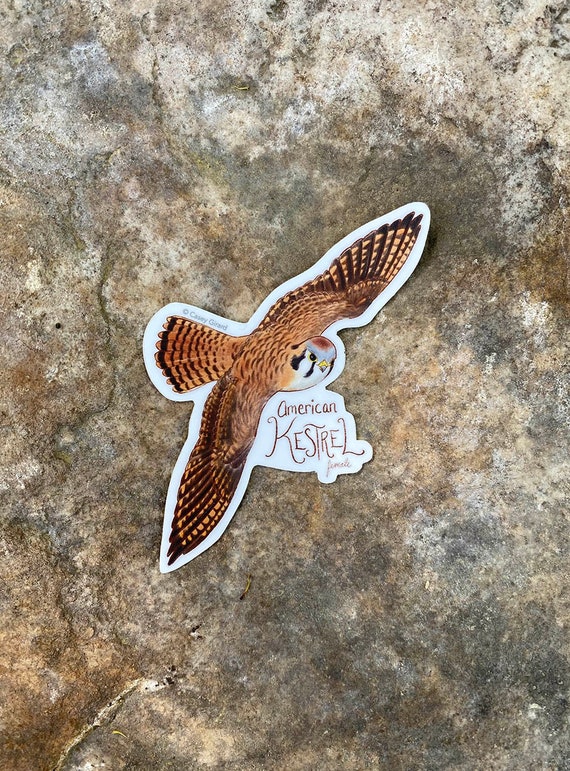 Decals & Skins Electronics & Accessories One Falcon Sticker etna.com.pe