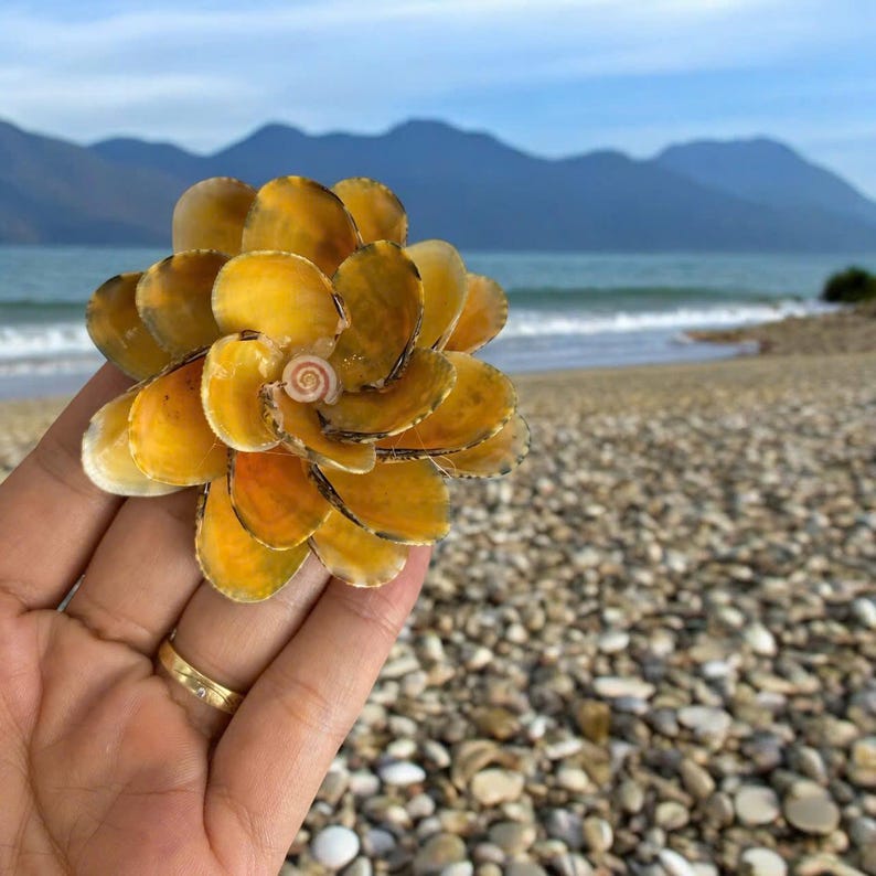 Seashell Flowers Beach Wedding Decor, Nautical Decor, Ocean Decor ...