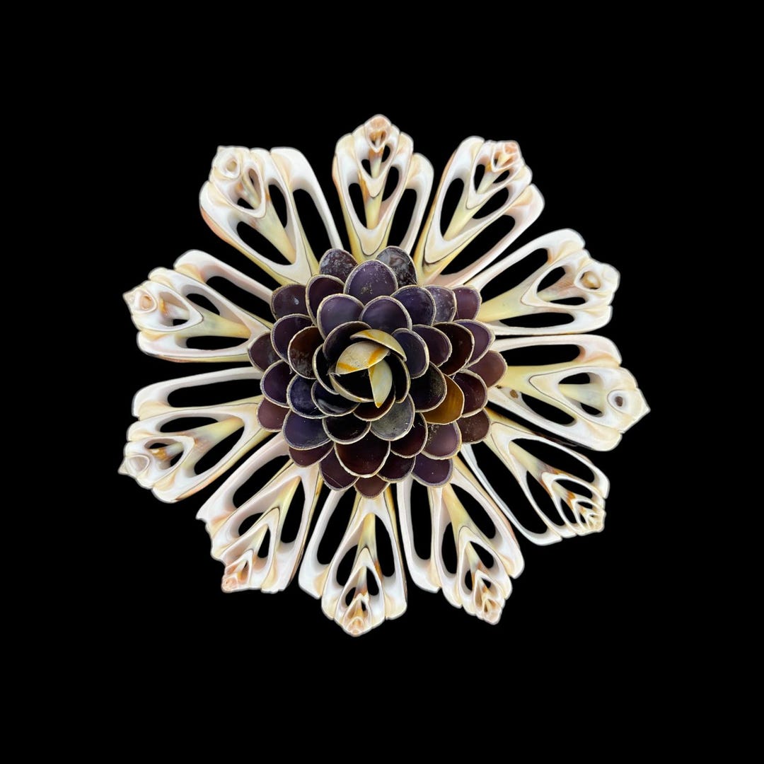 20 Seashell Slices and Shell Flower Beach Wedding Decor, Shell Flowers ...