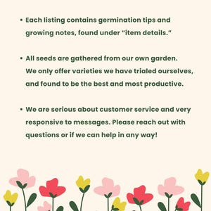 Georgia Creole Collards 50+ Seeds - Etsy