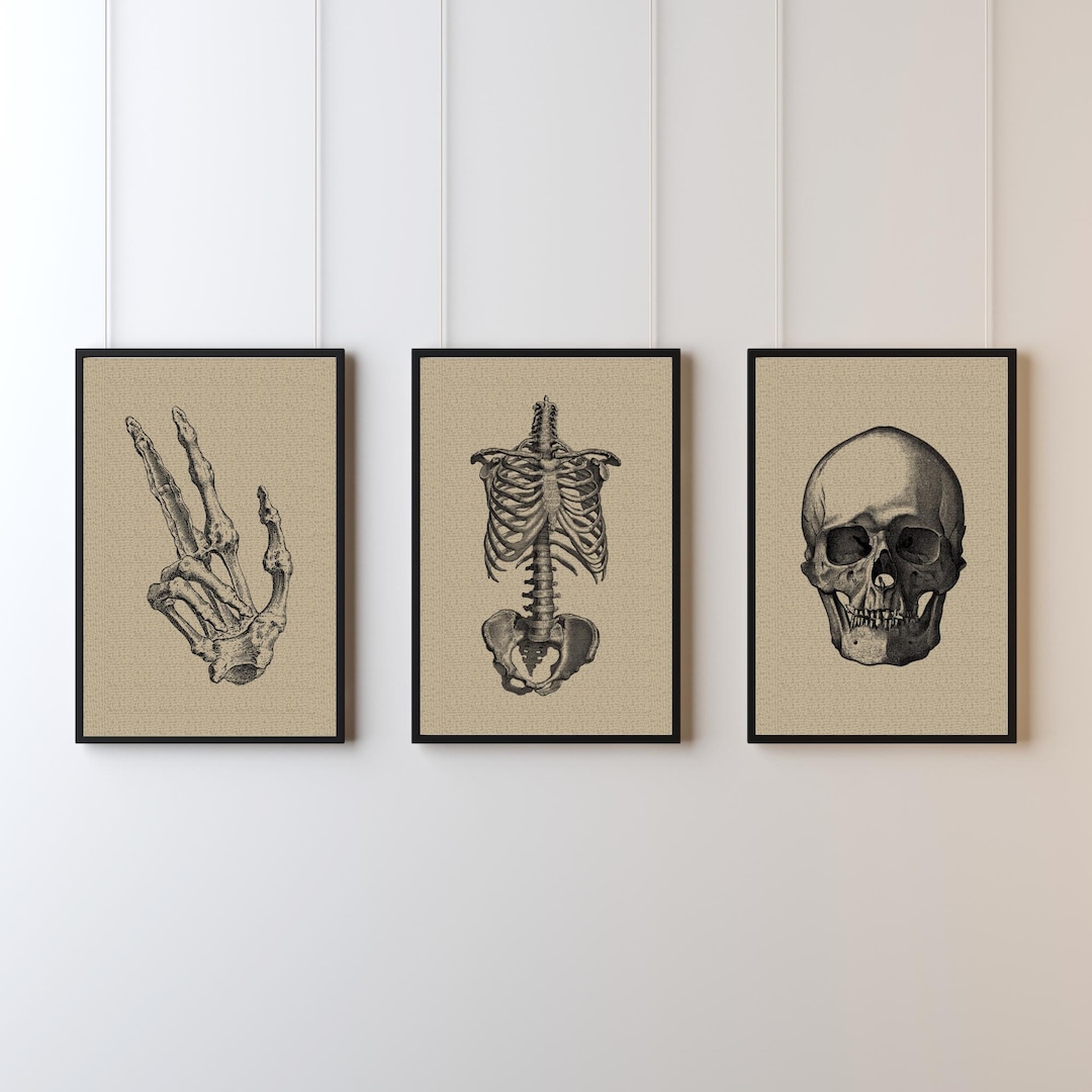 Digital Human Anatomy Wall Art - Medical Wall Art - Etsy