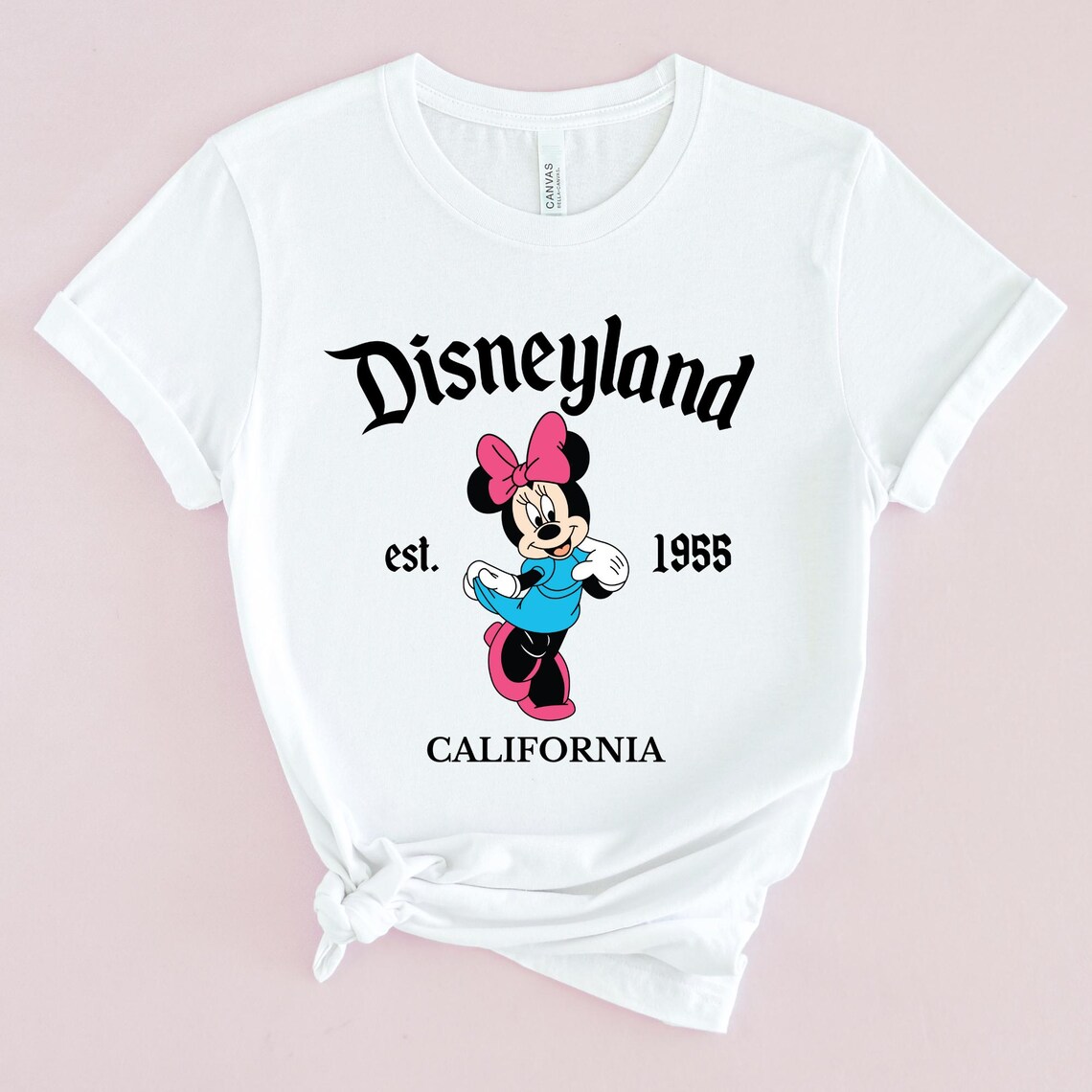 Mickey and Friends EST Bundle Png, Disneyland Est. 1955 Png, Disneyland ...
