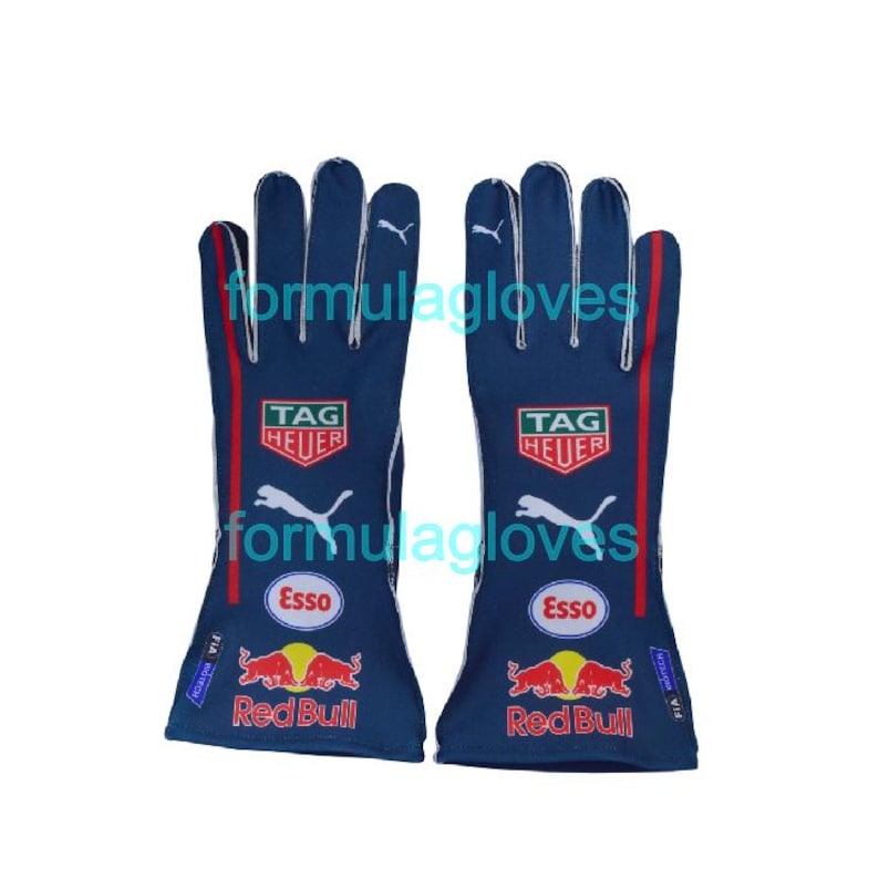 Max Verstappen 2019 F1 Karting Gloves Sim Racing Gloves - Etsy