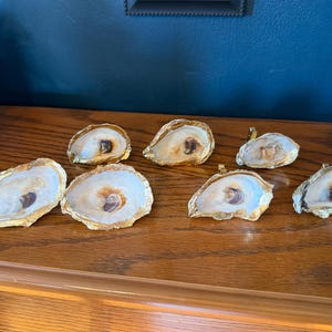 Oyster Shell Place Card Holders - Etsy