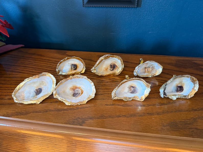 Oyster Shell Place Card Holders - Etsy