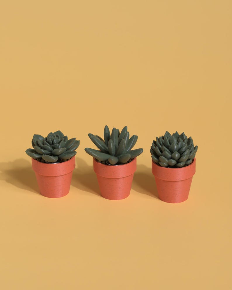 Spinny Succulents - Plant Fidget Toys - Etsy
