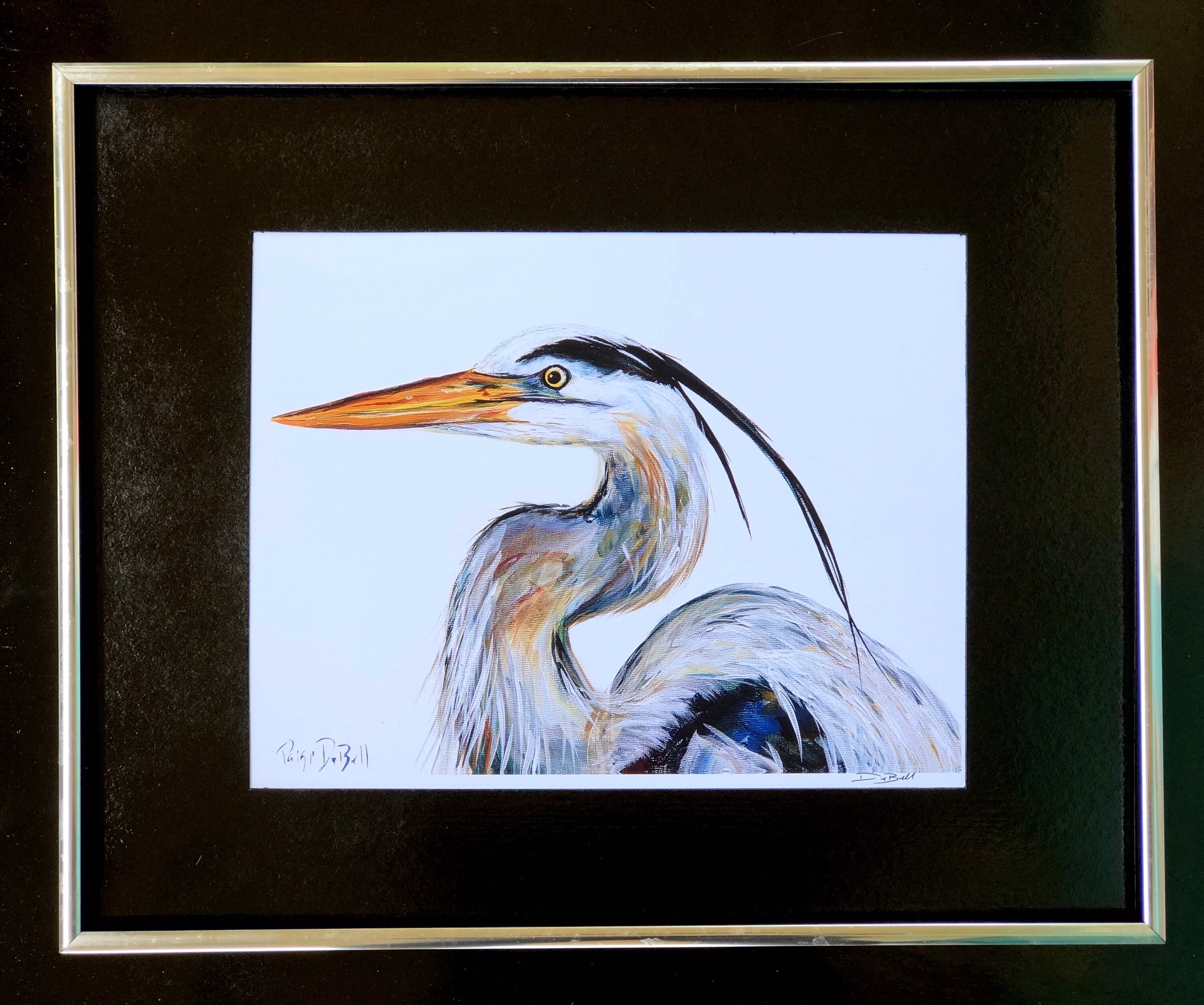 HERON FEATHERS ** 11" X14" Print of My Original Great Blue Heron ...