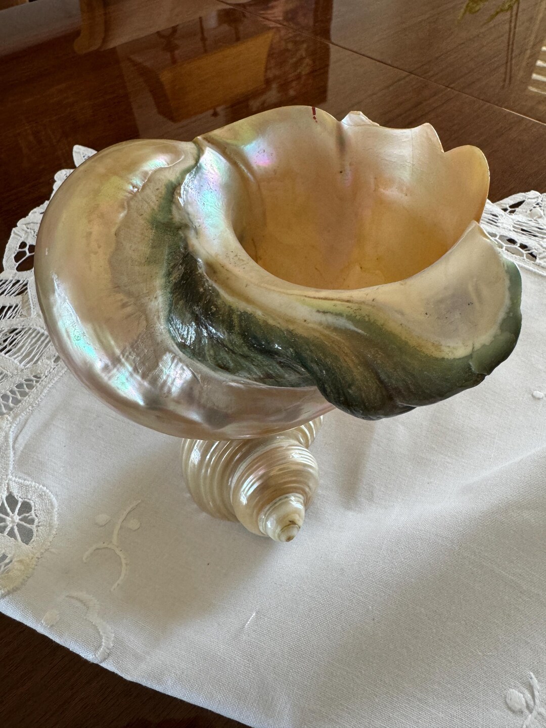 Antique Master Caviar Serving Dish, Mother of Pearl , Turbo Snail Shell ...