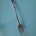 VICTORIAN Williams C1880 Dinner Fork 7 1/4" Long Acorn Leaves Fall ...