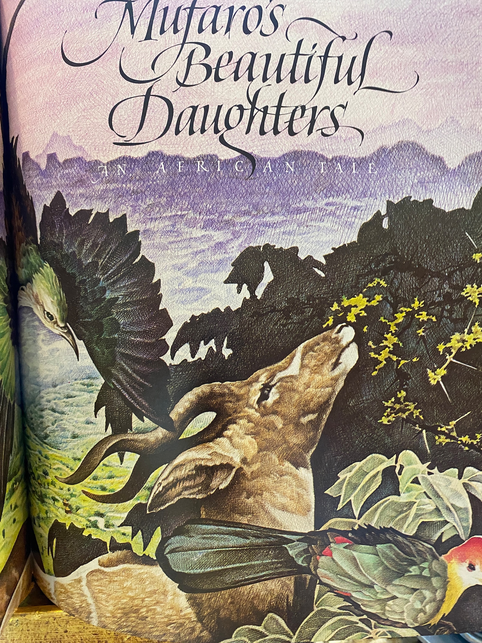 Mufaro's Beautiful Daughters: an African Tale FIRST EDITION - Etsy