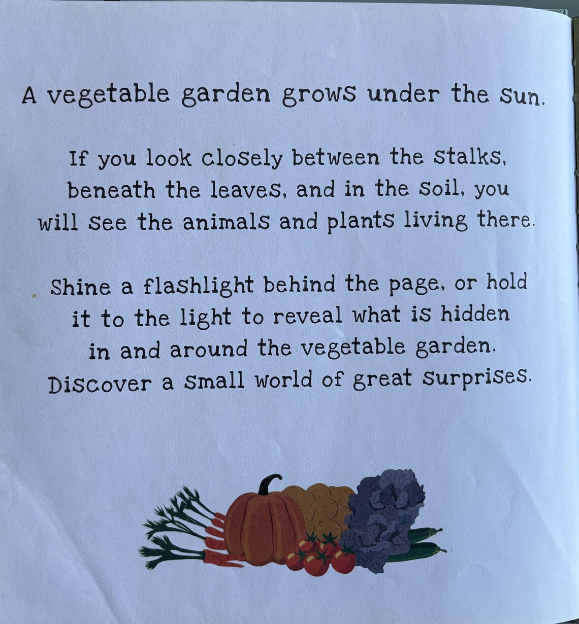 Secrets of the Vegetable Garden ** First Edition ** - Etsy