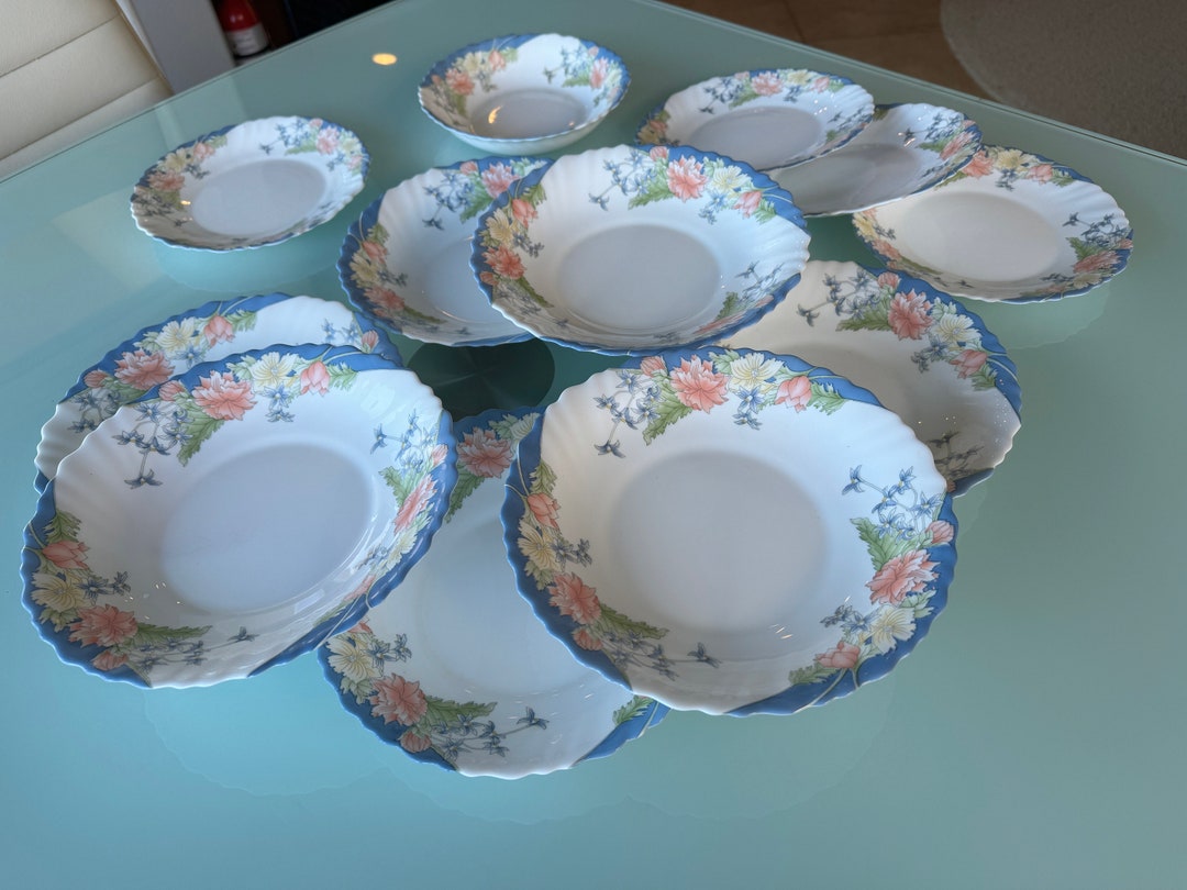 FRANCE Arcopal Dishware Florine Pattern 13pc RARE Scarce - Etsy