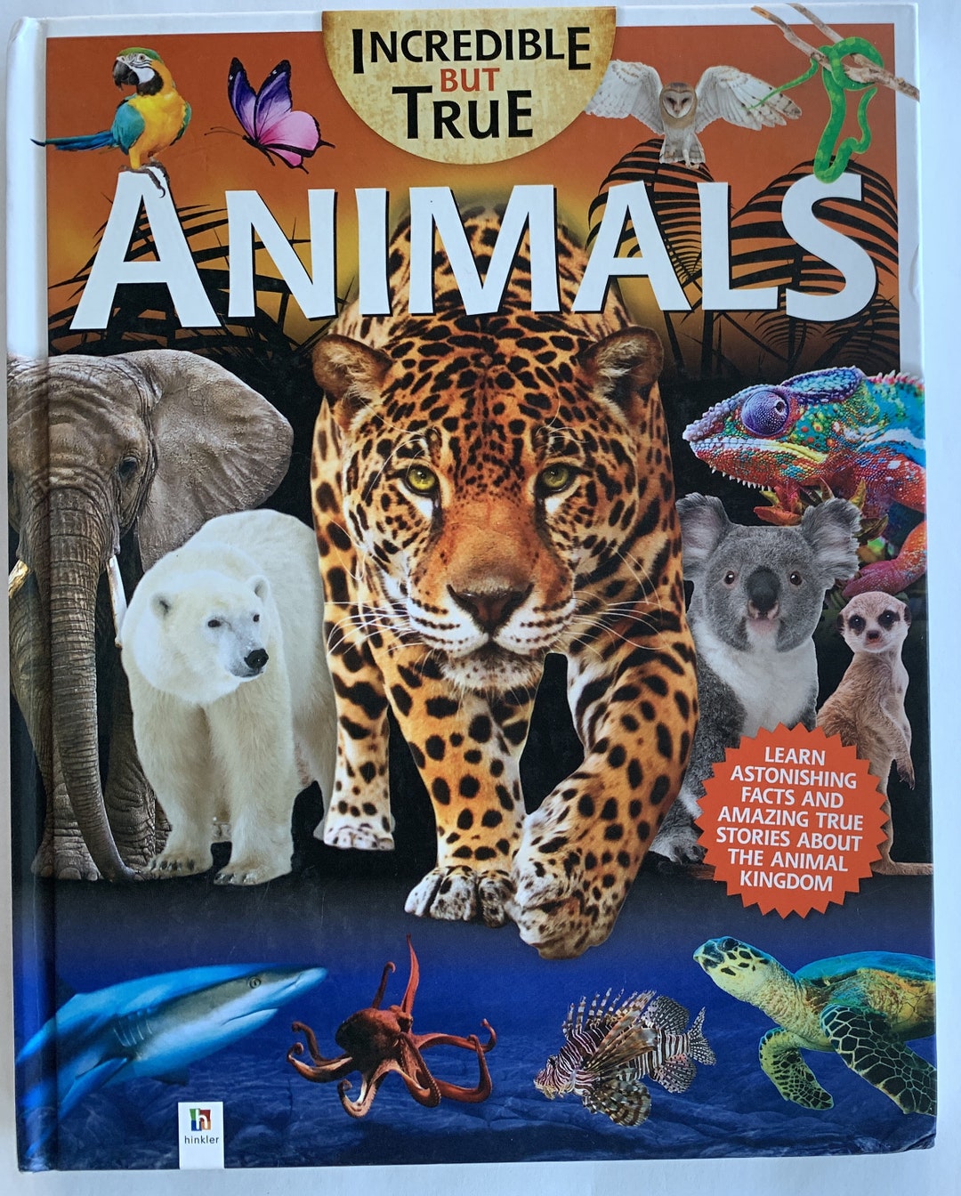 Incredible but True Animals - Barbara Toft - Etsy