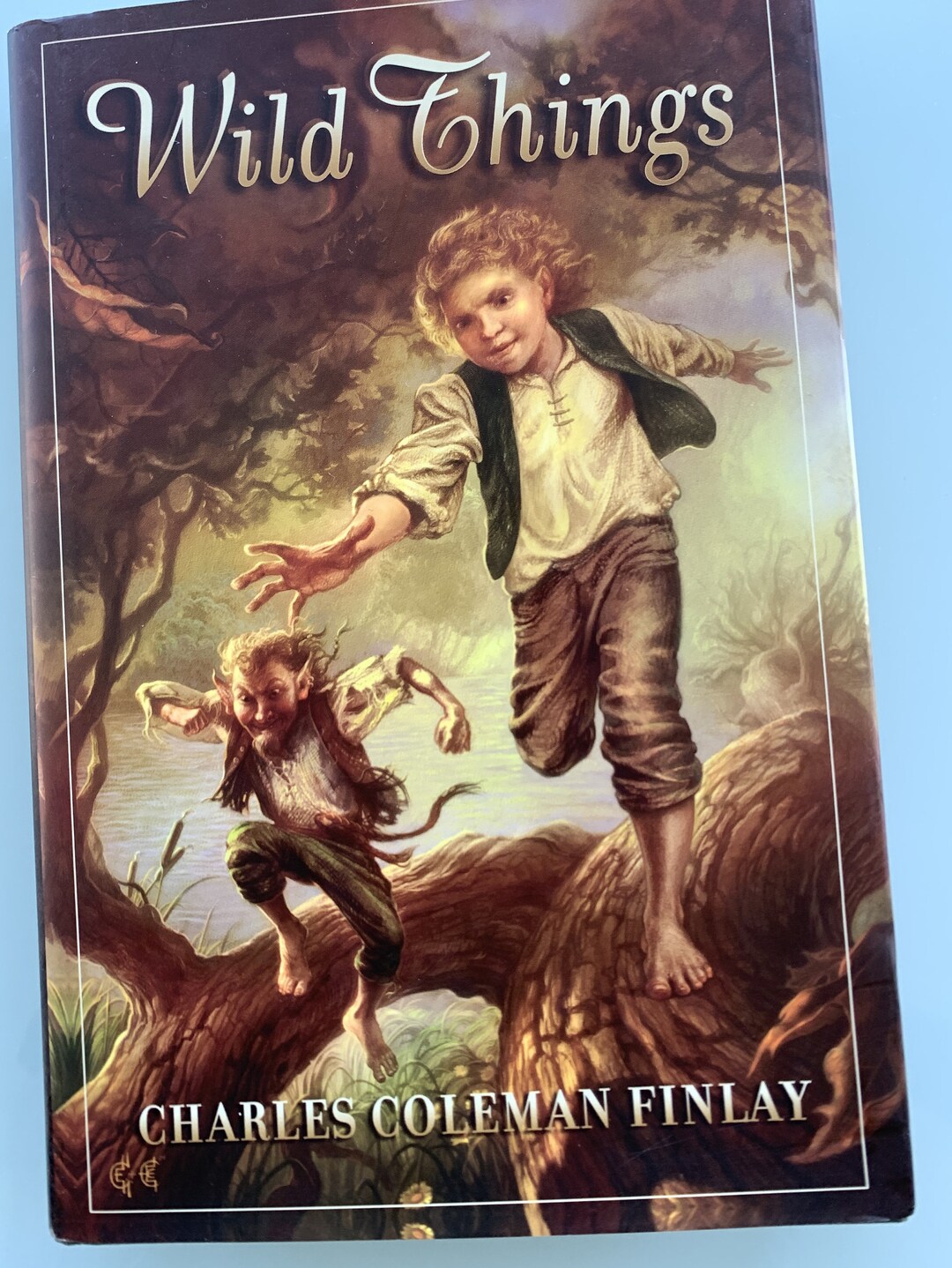 Wild Things - Charles Finlay - First Edition - Signed - Etsy