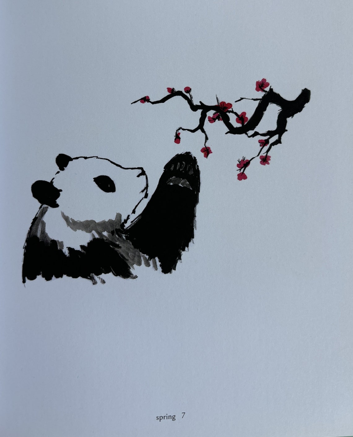 Big Panda and Tiny Dragon - Illustrated by James Norbury - Etsy