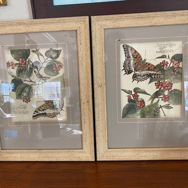 Butterfly Lithograph - Etsy