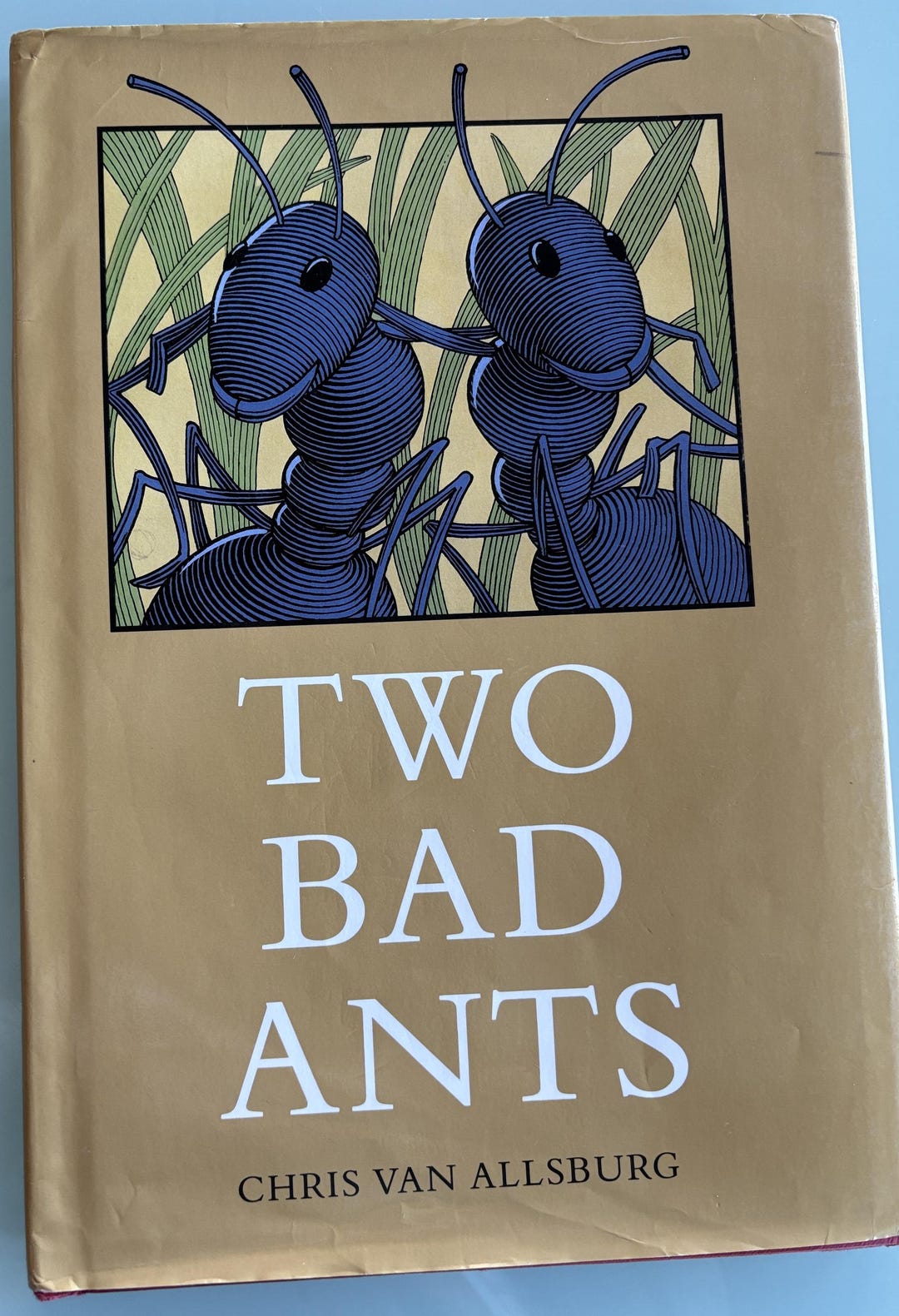 Two Bad Ants by Christ Van Allsburg 1988 - Etsy