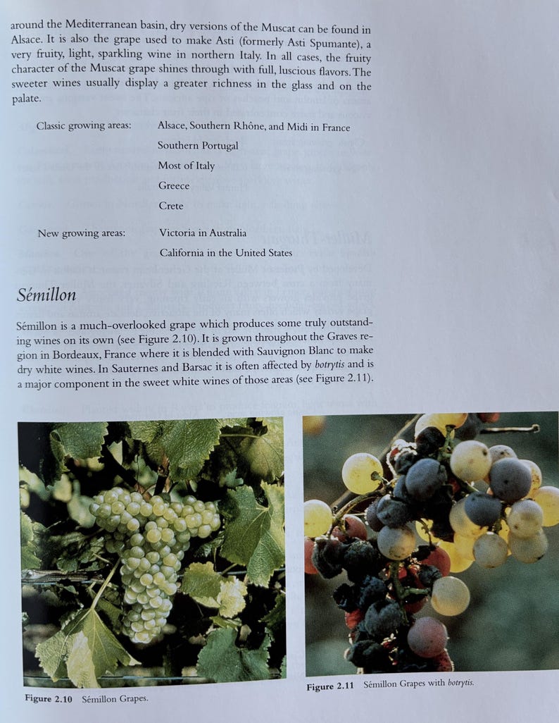 Exploring Wine America's Guide to Wines of the World 1996 - Etsy