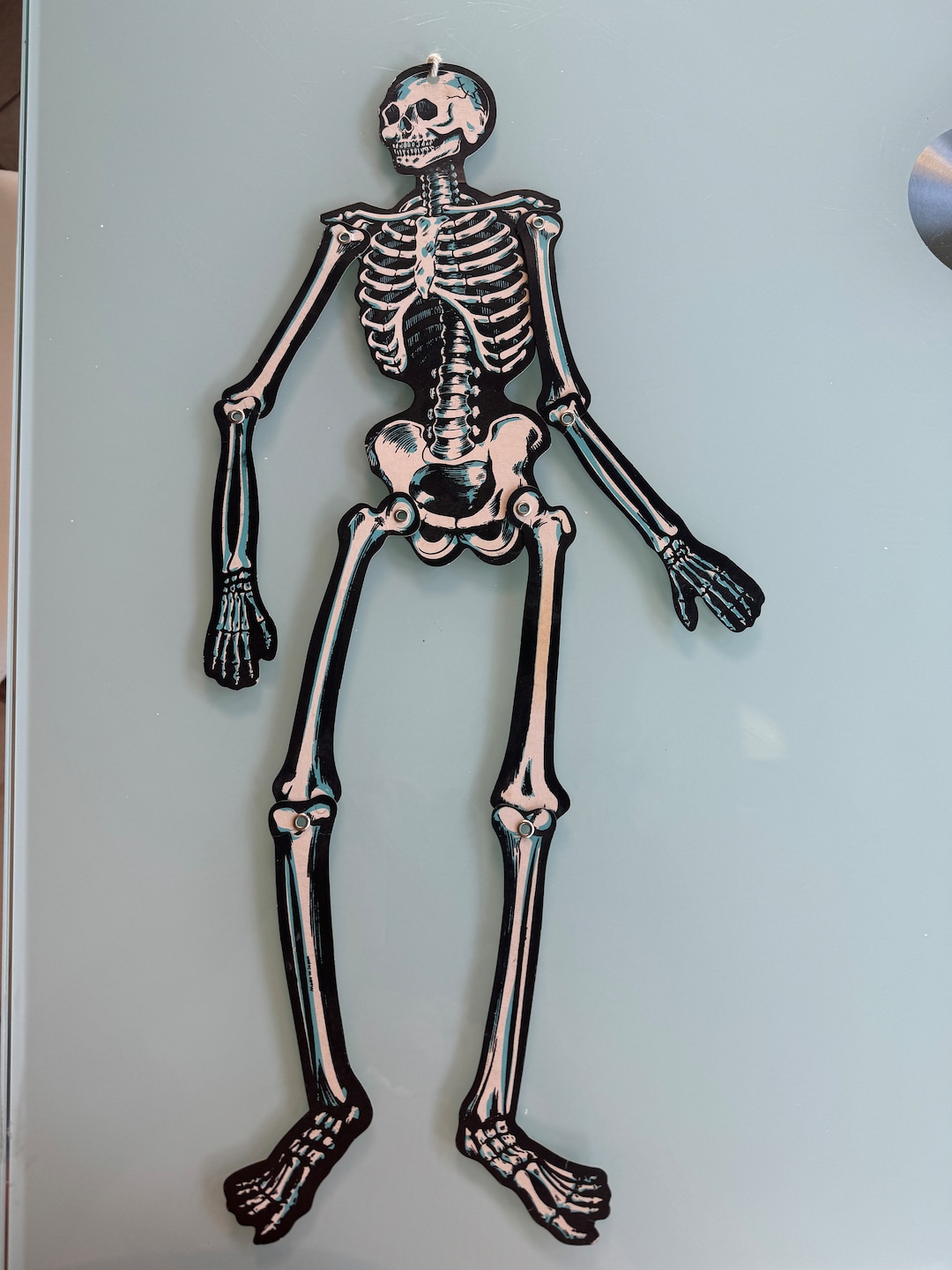 Vintage 1960 Paper Card Skeleton Moveable Arms and Legs NICE Condition ...