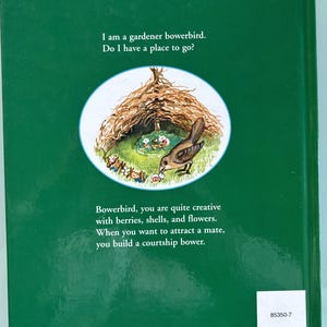 Armadillos Sleep in Dugouts - and Other Places Animals Live - Etsy