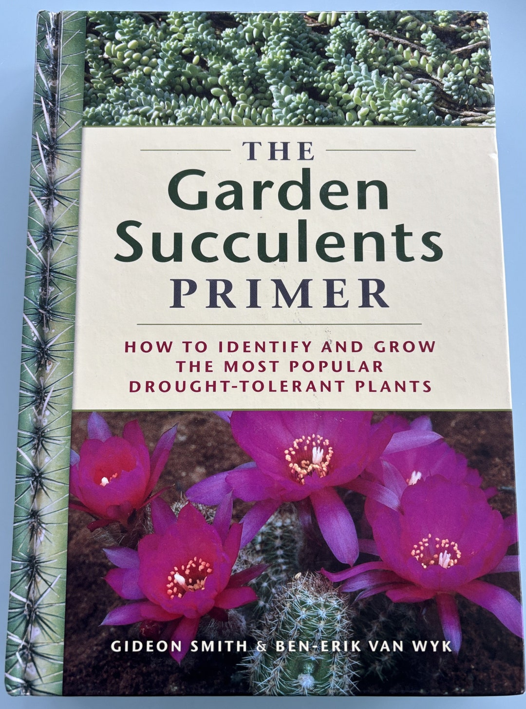 The Garden Succulents Primer - Etsy