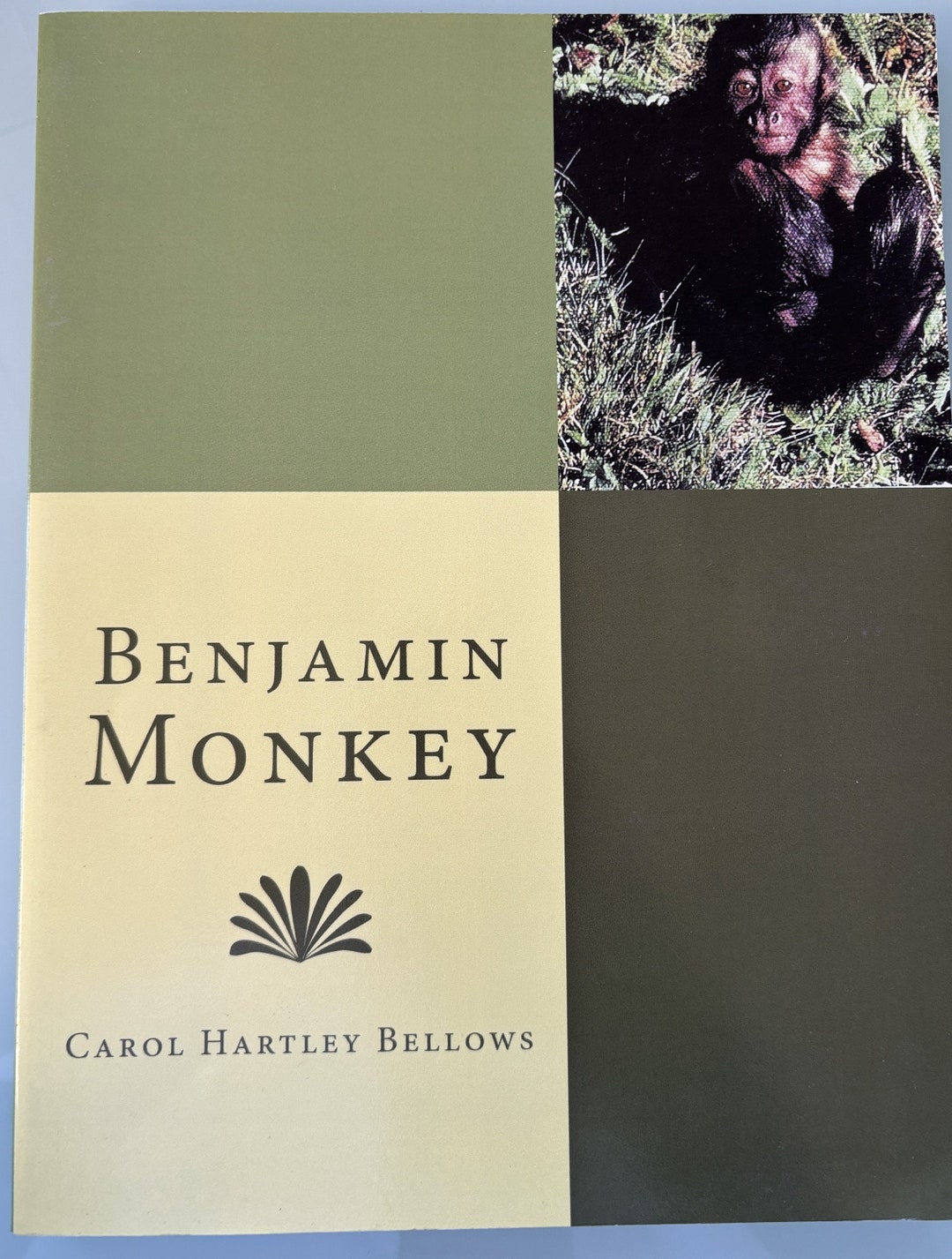 Benjamin Monkey by Carol H Bellows - Signed by Author, Softcover - Etsy