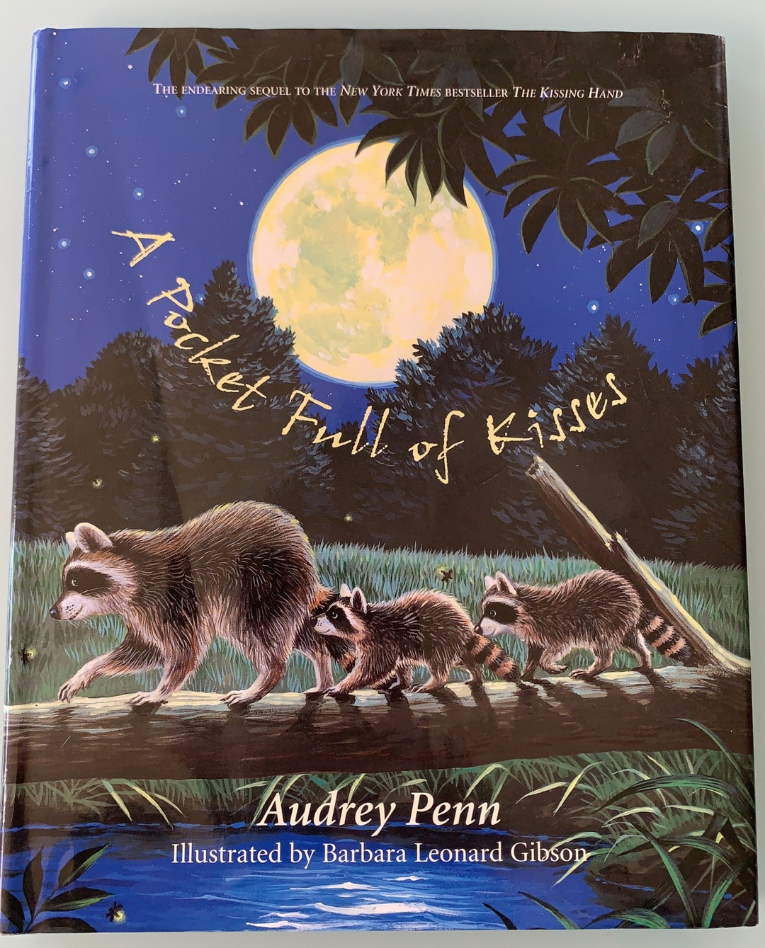 A Pocket Full of Kisses by Audrey Penn - First Edition 2004 - Etsy