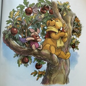 Winnie the Pooh - Nature's True Colors - 1st Edition 2010 - Etsy