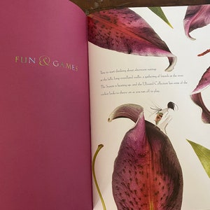 Fairie-ality: the Fashion Collection From the House of Ellwand by ...