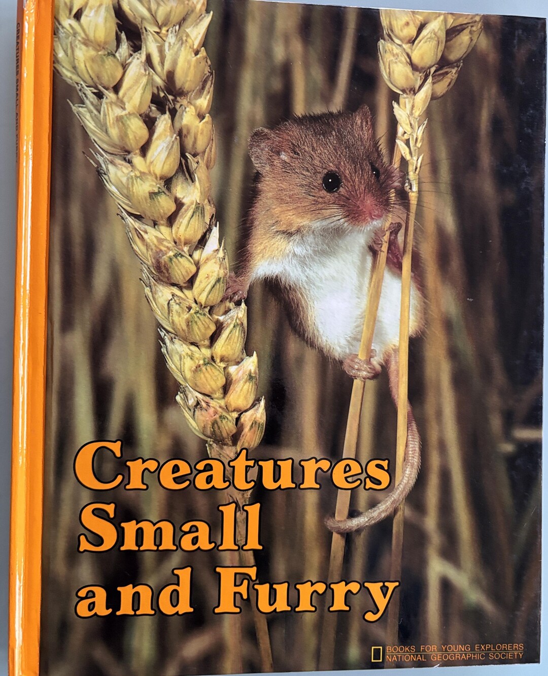 Creatures Small and Furry - National Geographics Society Books for ...