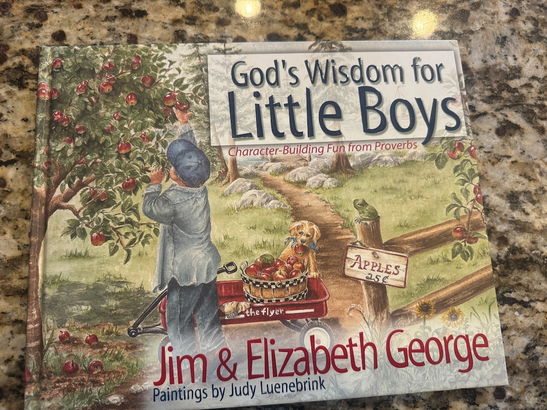 God's Wisdom for Little Boys : Character-building Fun From Proverbs by ...