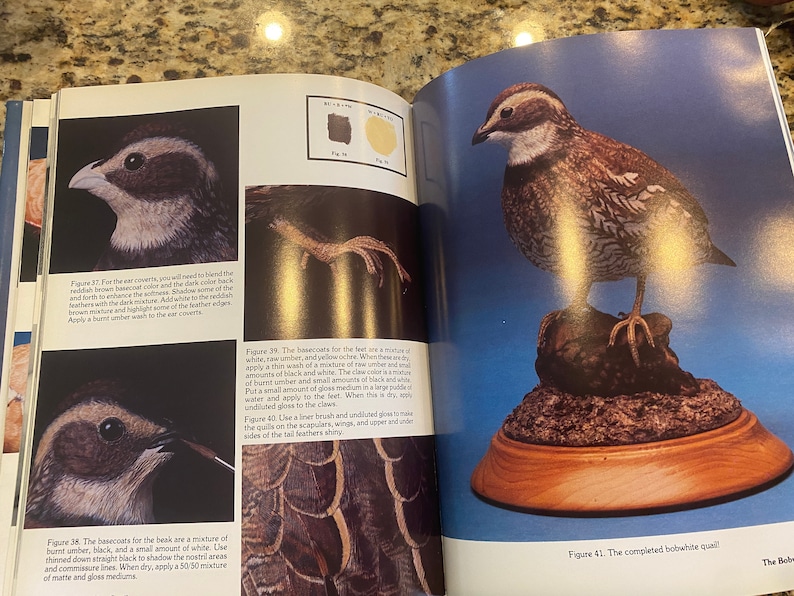 Upland Game Bird Carving: Rosalyn Leach Daisey 1991 - Etsy