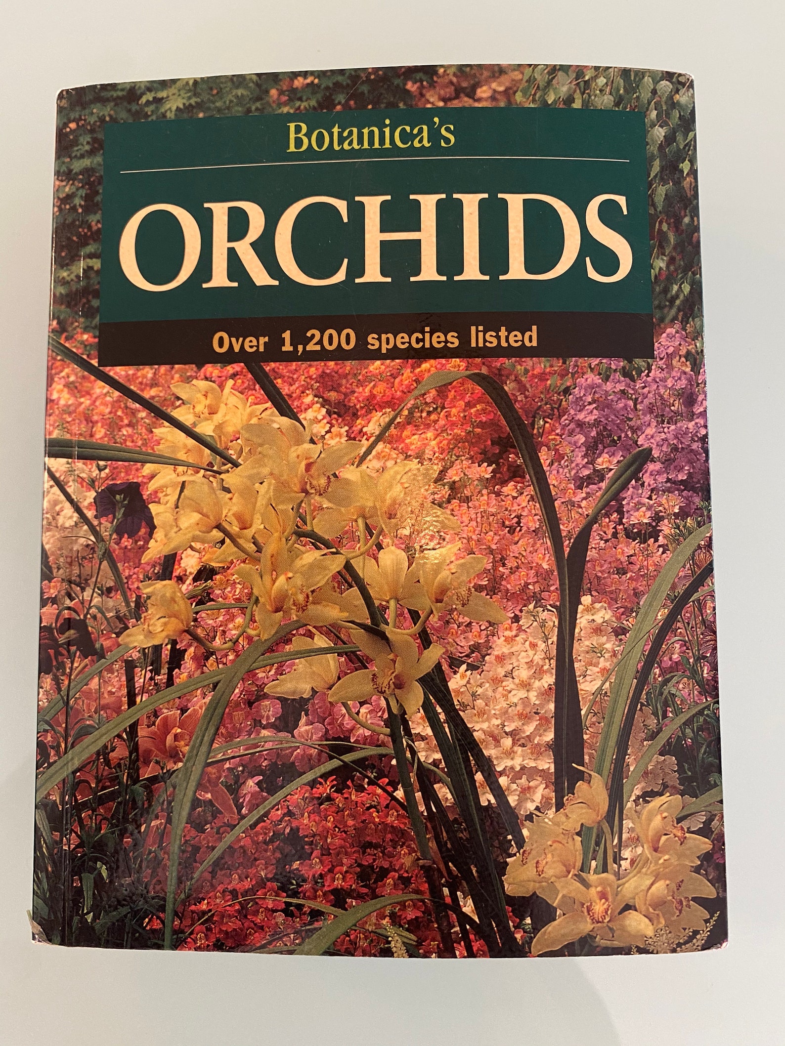 Botanica's Orchids : Over 1200 Species Book - Etsy