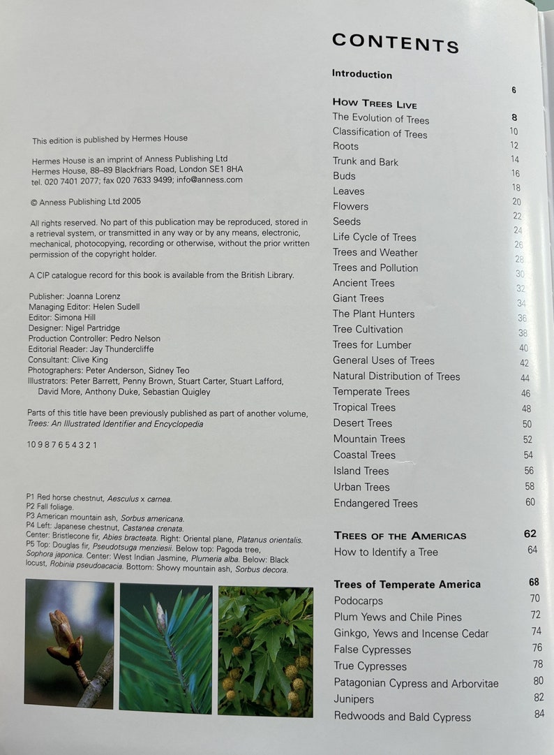 American Trees - the New Emcyclopedia of - 2005 - Etsy