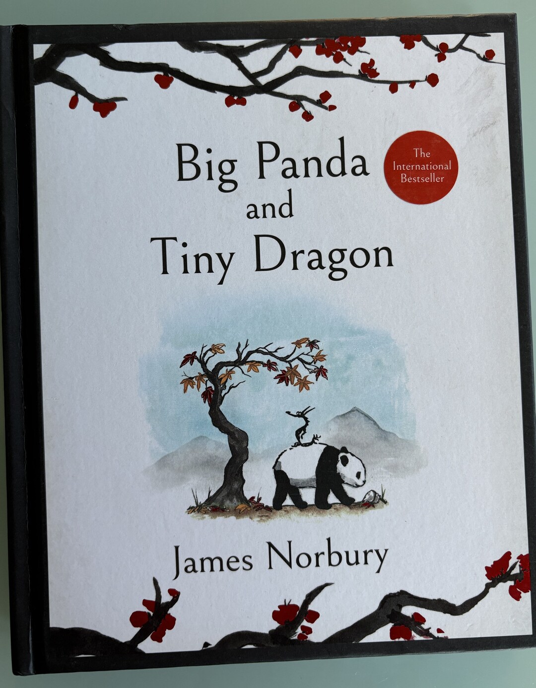 Big Panda and Tiny Dragon - Illustrated by James Norbury - Etsy