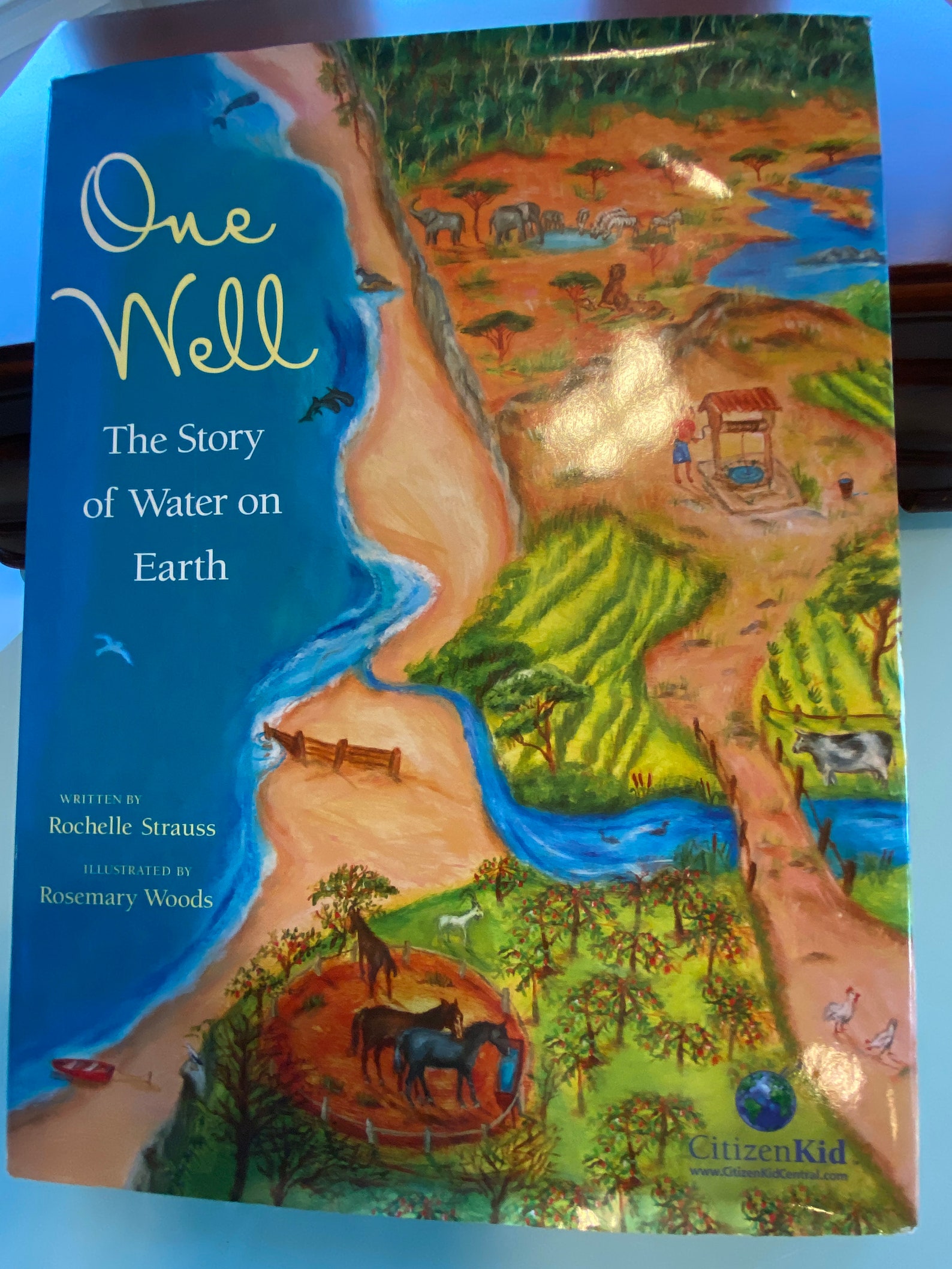 One Well: the Story of Water on Earth Strauss, Rochelle - Etsy