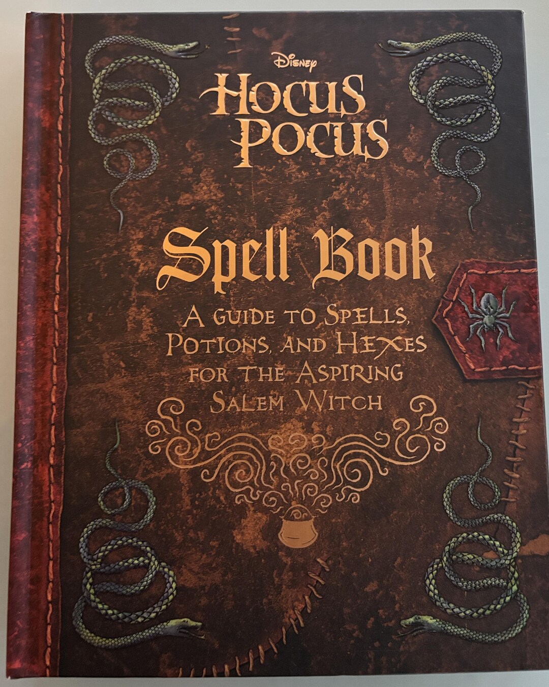 Hocus Pocus disney A Guide to Spells, Potions, and Hexes First ...