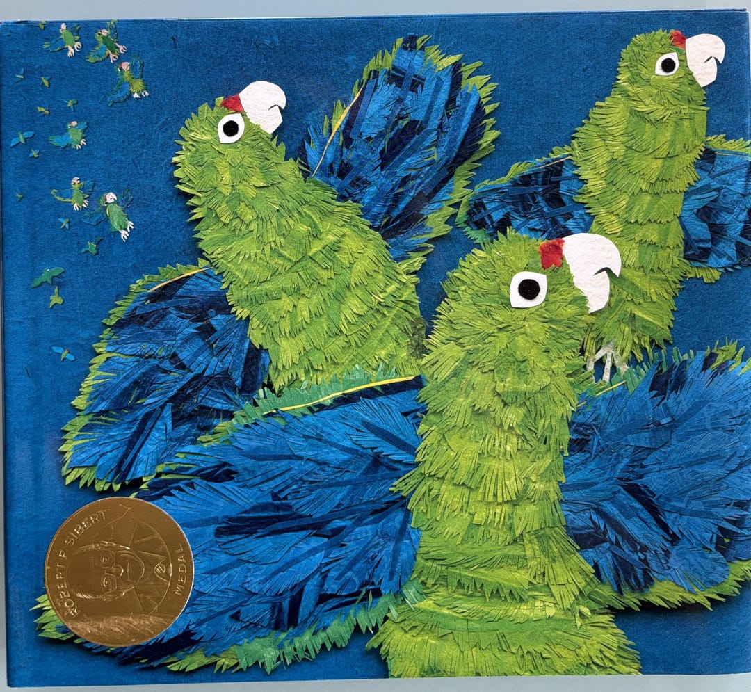 Parrots Over Puerto Rico - First Edition - Etsy